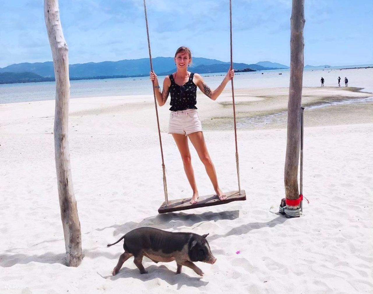 Koh Samui: Private Longtail Tour to Pig Island with Snorkel - Klook ...
