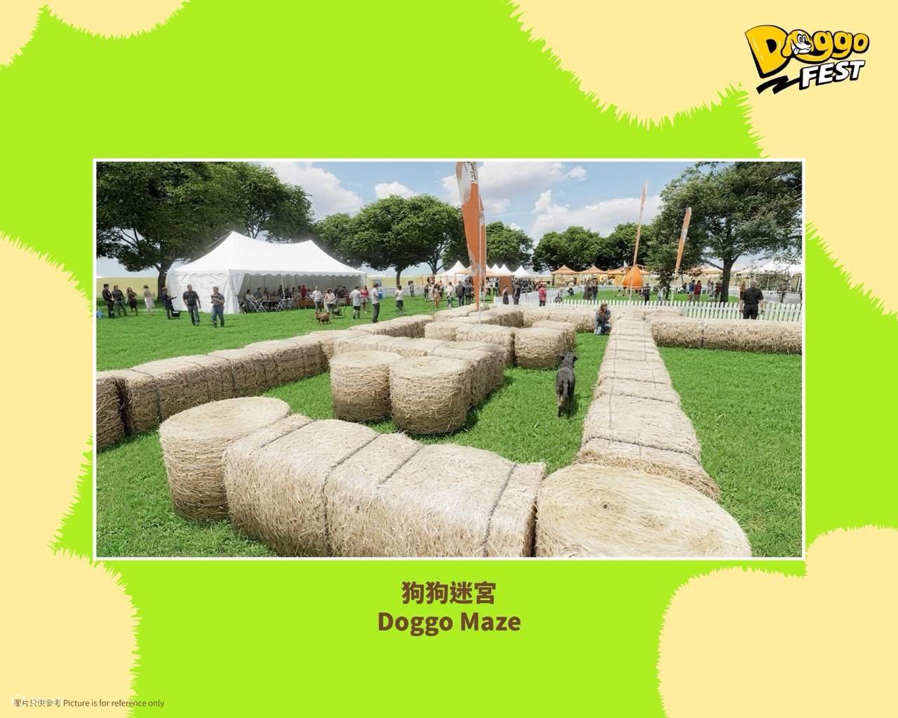 Hong Kong's premier outdoor dog festival — Doggo Fest 2025 - Klook ...