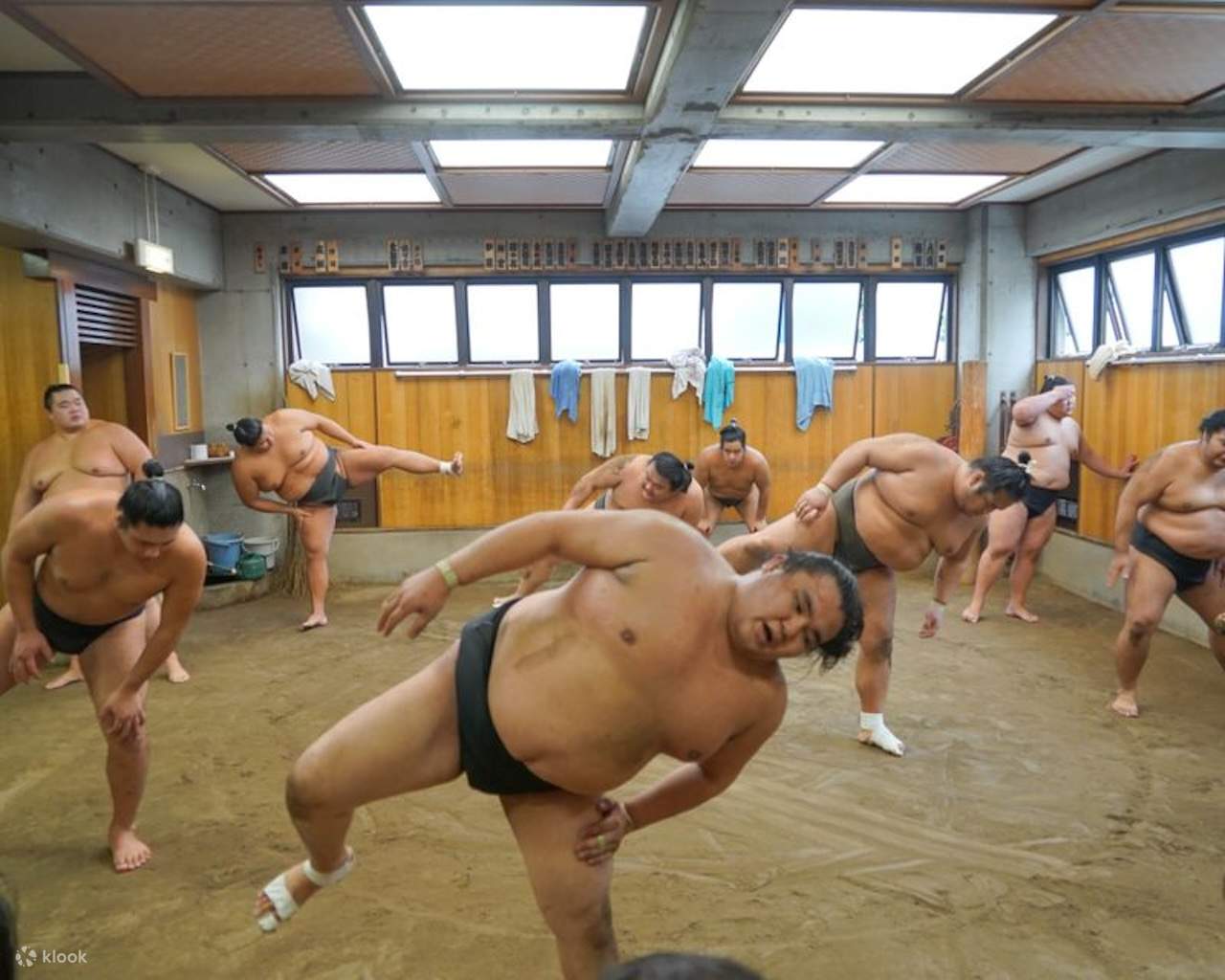 Tokyo Sumo Morning Practice Tour in Kiyosumi Shirakawa - Klook