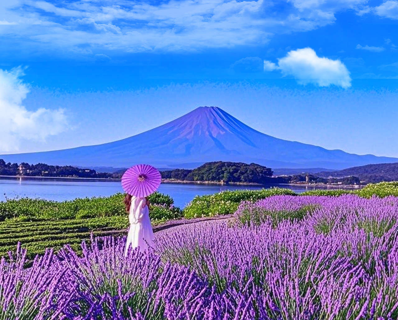 Three Lakes of Mt. Fuji｜Kawaguchiko, Yamanakako, Shojiko "Mount Fuji" Day Tour｜Depart from Tokyo ...