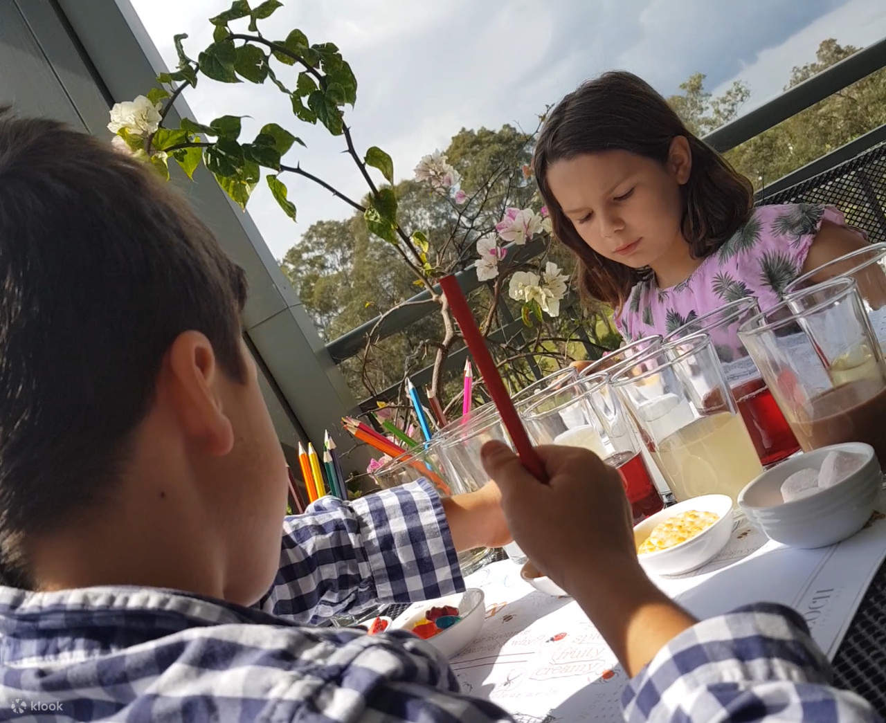 Tulloch Wines Vintage Shiraz Tasting Experience - Klook