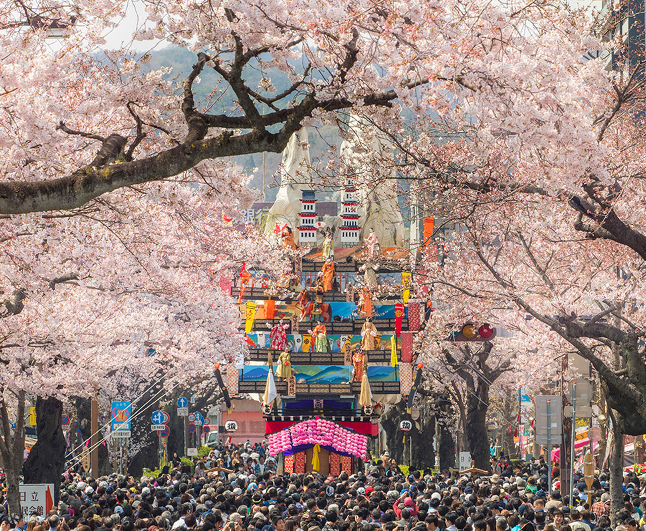 Yubiki Kanon & Hitachi Cherry Blossom Festival & Seaside Sunset Day ...