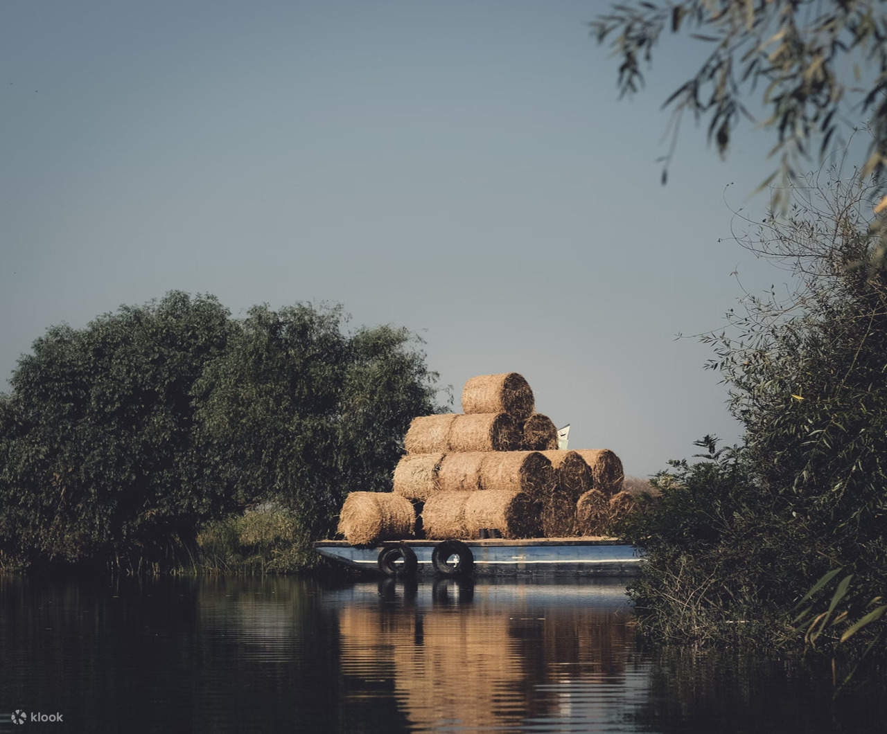 Danube Delta Day Tour – Birdwatching and Scenic Boat Cruise - Klook
