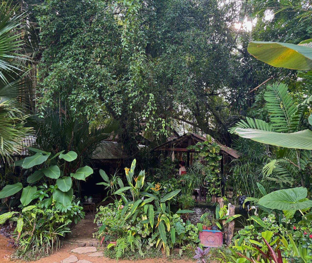 Monsopiad Cultural Village with Lunch (Half Day Tour) - Klook Australia