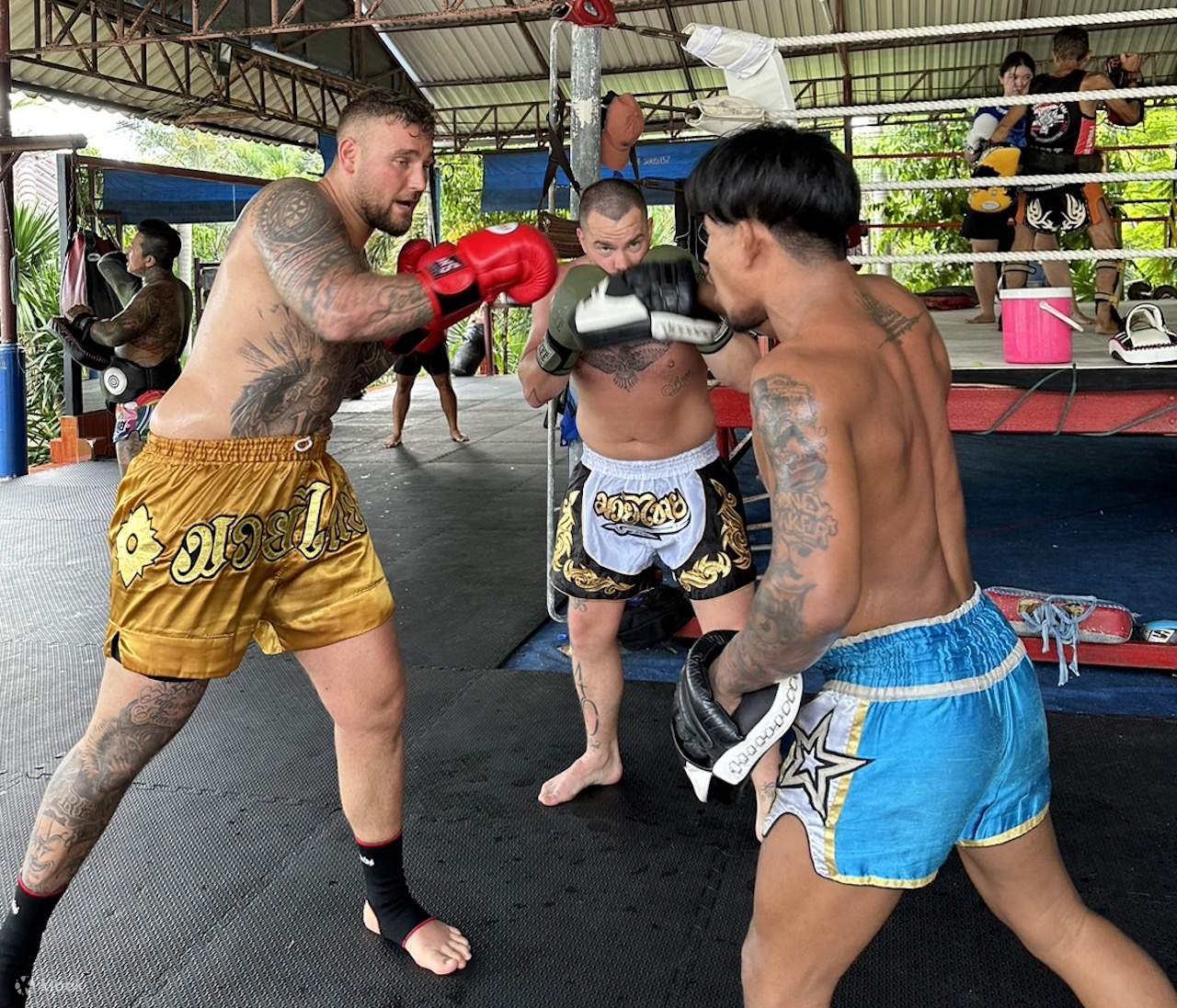 Kelas Pengenalan Tinju Muay Thai Phuket untuk Pemula - Klook Indonesia