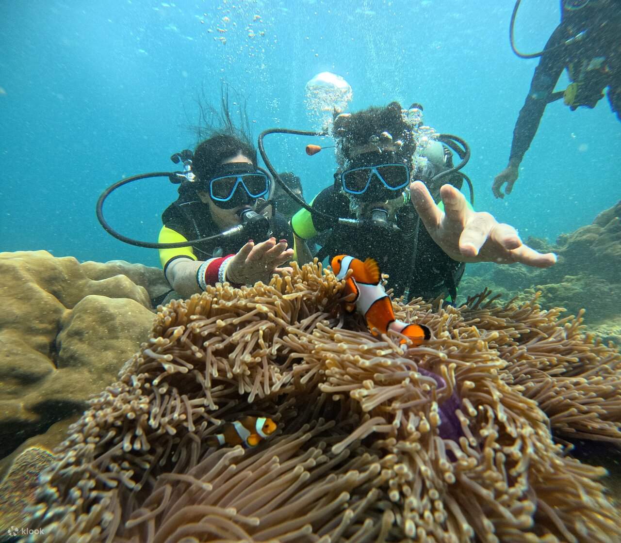 Join In Cat Island Phuket Scuba Diving, Snorkeling Half Day in Phuket ...
