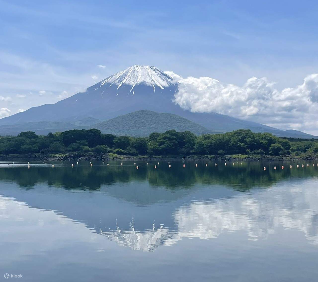 Narita Airport/Haneda Airport Car Rental with Driver to Mt. Fuji/Hakone ...