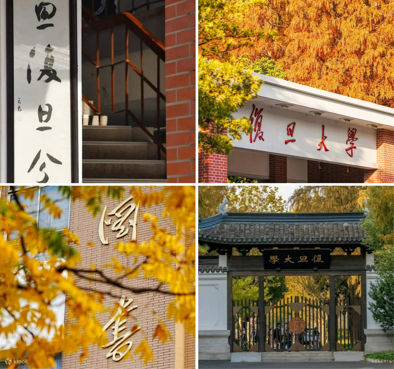 One-Day Tour of Fudan University & Shanghai Museum (Stroll through ...