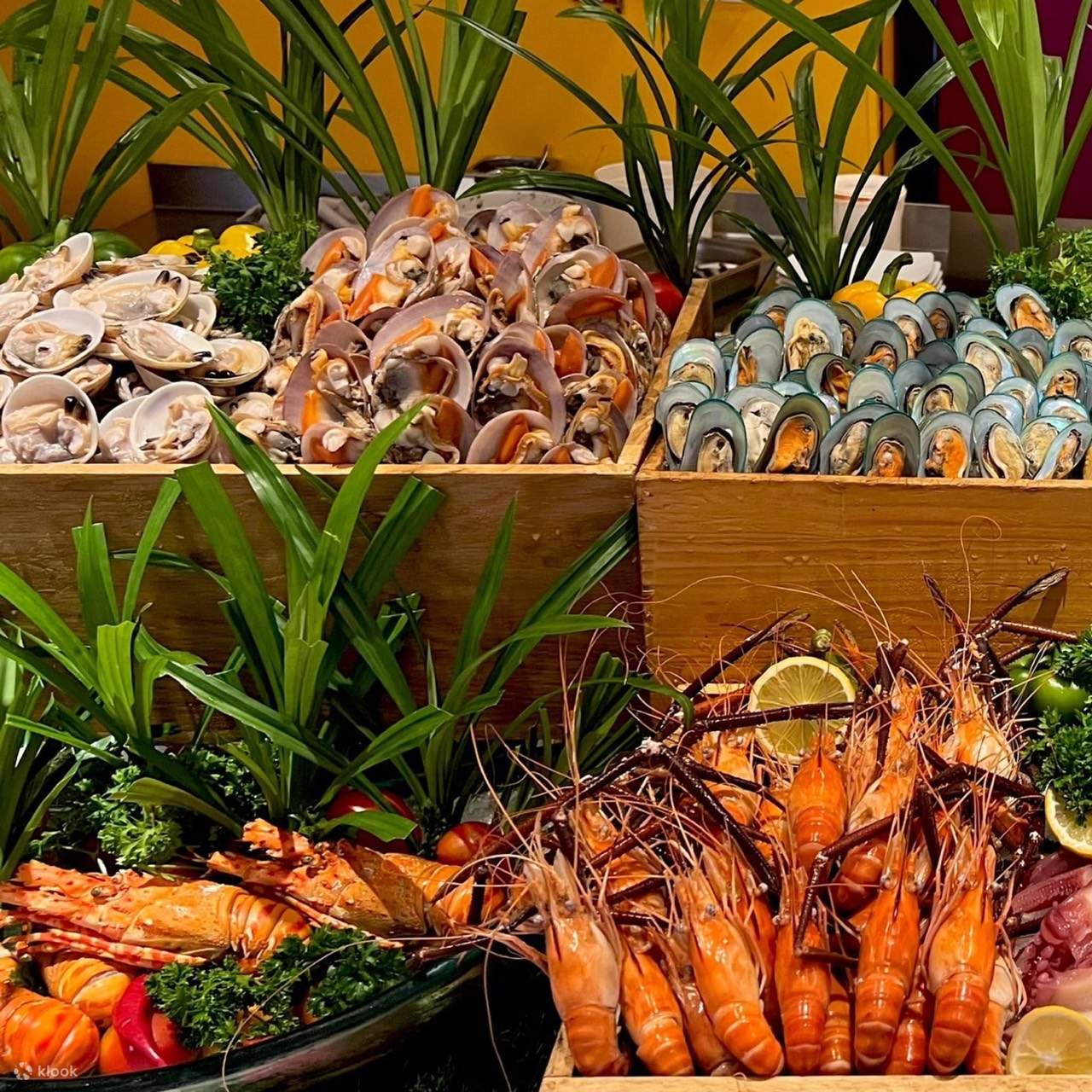 Seafood Buffet Dinner in Novotel Nha Trang - Klook Amerika Syarikat