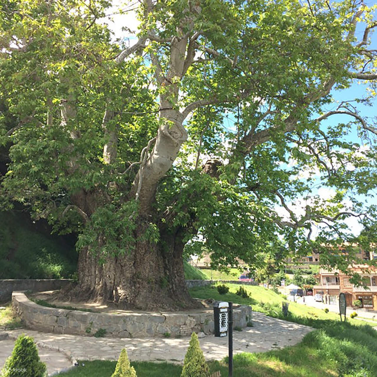 From Tbilisi: Bodbe Monastery, Sighnaghi, & Telavi Day Tour - Klook