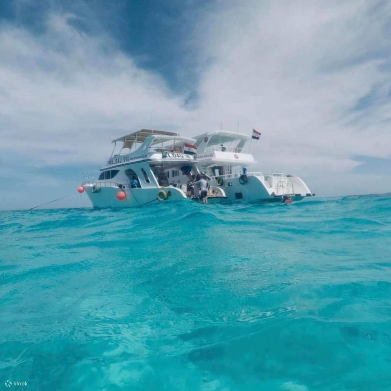 Petualangan Snorkeling di Dolphin House Reef & Transportasi – Marsa ...
