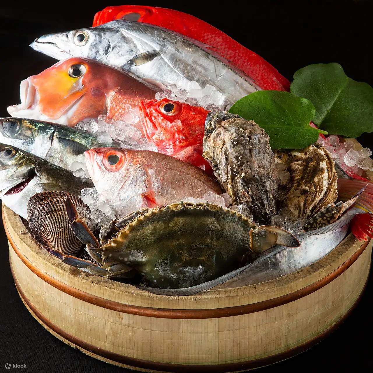 Fukuoka｜Izakaya, seafood cuisine Hanya Kado-no Kuta｜Nishinakasu/Haruyoshi, Fukuoka Prefecture ...