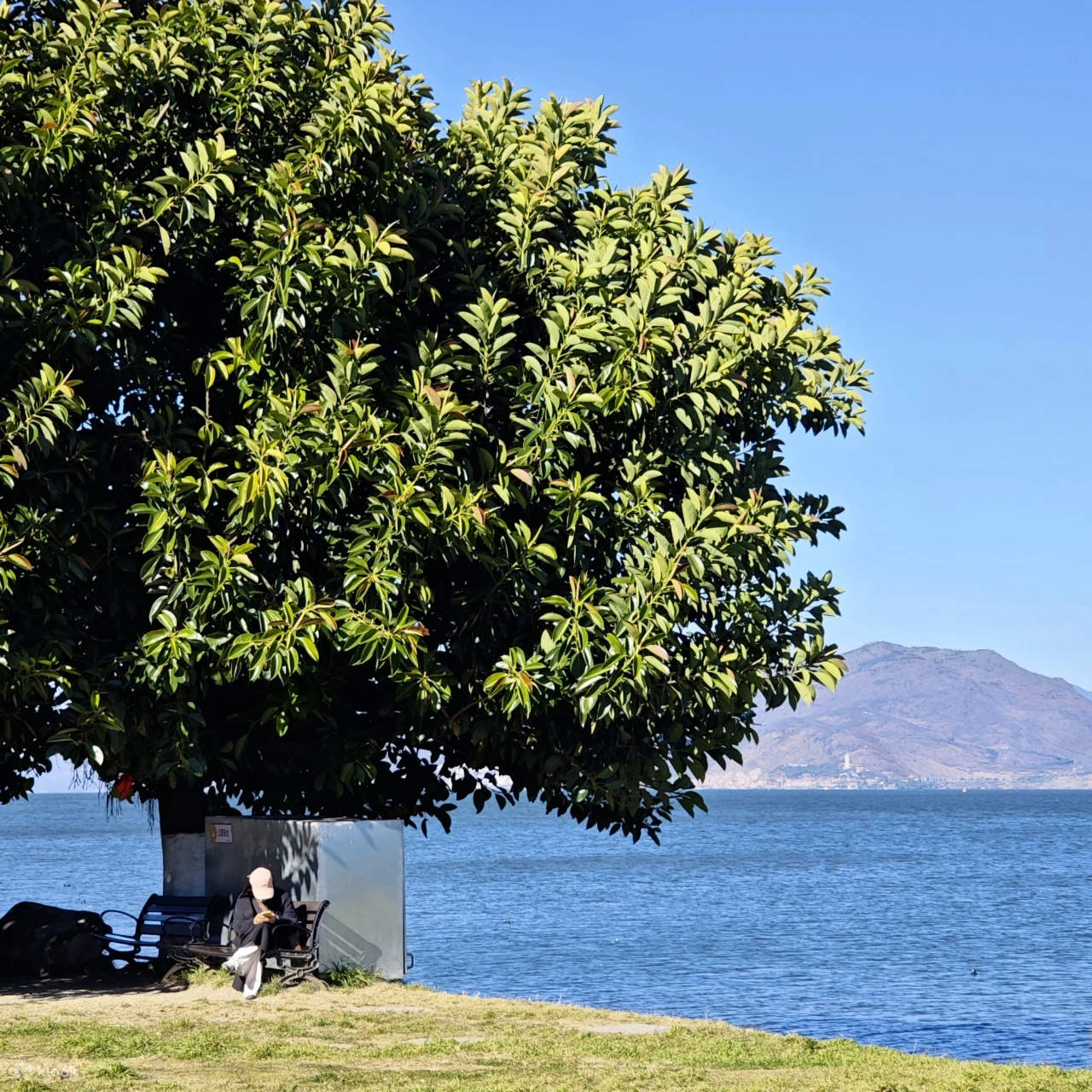 [Klook Exclusive] One-Day Erhai Lake Loop Tour from Dali, Yunnan ...