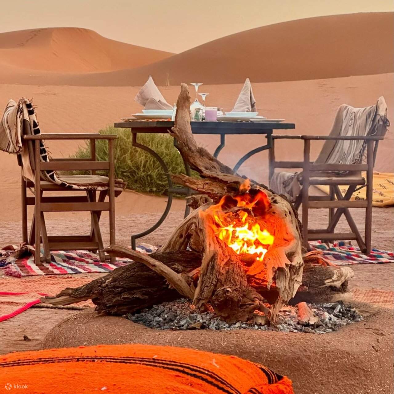 Marrakech Sightseeing Tour Explore Gardens, Palaces & hidden gems - Klook