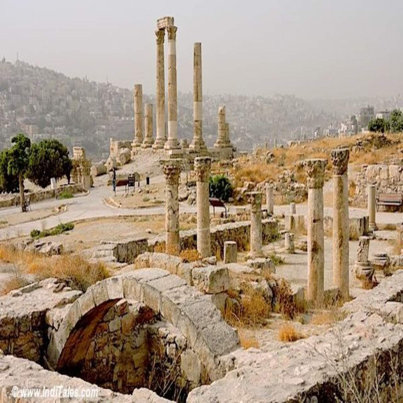 Amman Private Sightseeing City Tour - Klook