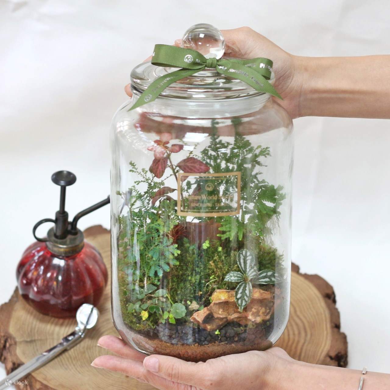 Taipei: Yuan Sheng Tai Studio - Floral Art & Plant Terrarium ...