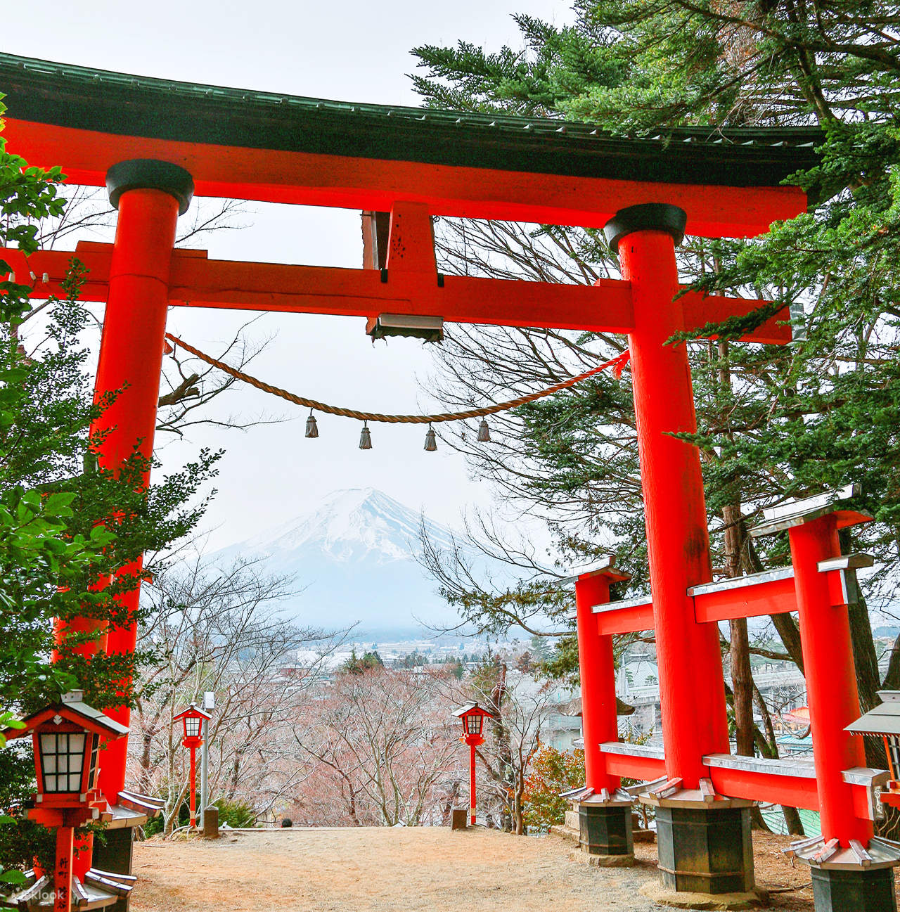 Mount Fuji FUMOTOPPARA Camping Experience 2-Day Tour｜Depart from Tokyo ...