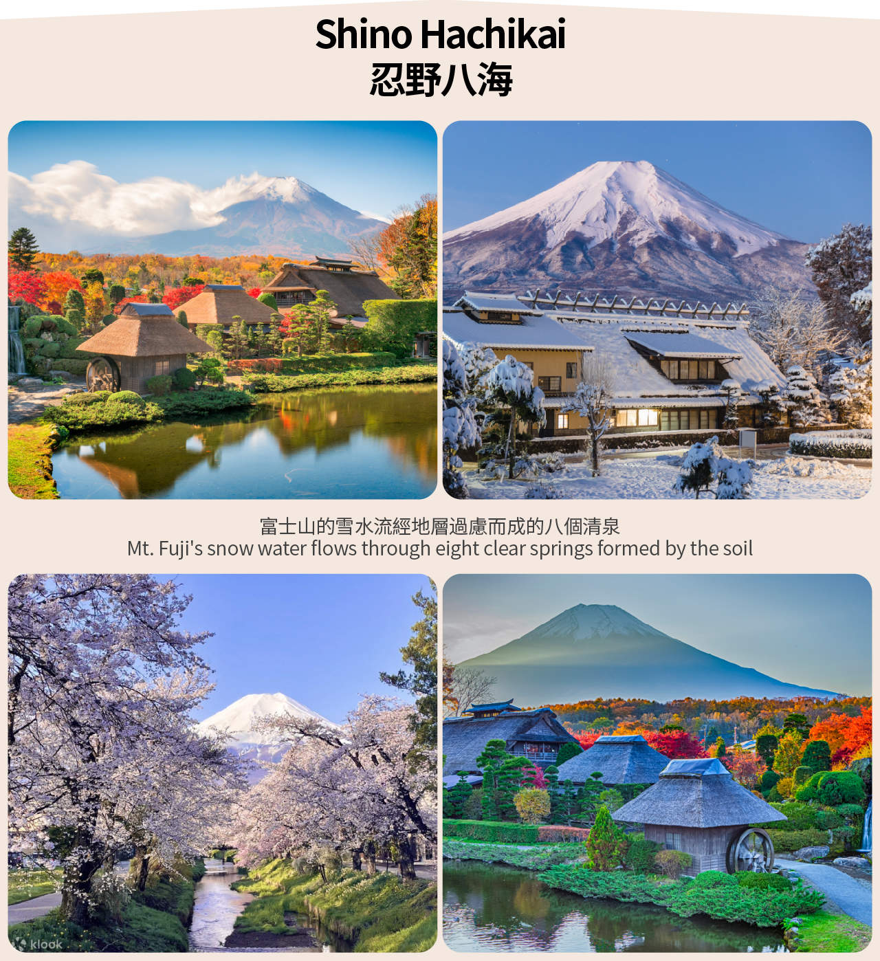 [Fuji Mountain Popular Attractions Check-in Day Tour with Lunch Option ...
