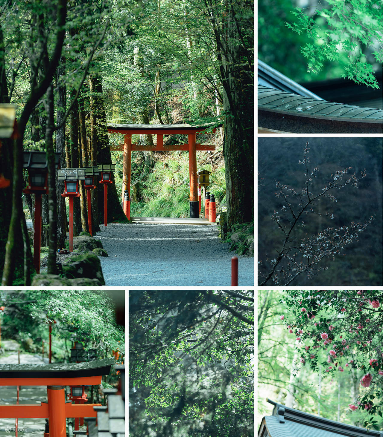 Santuario di Kifune a Kyoto, Tempio Sanzen-in, Ponte Togetsukyo ad ...