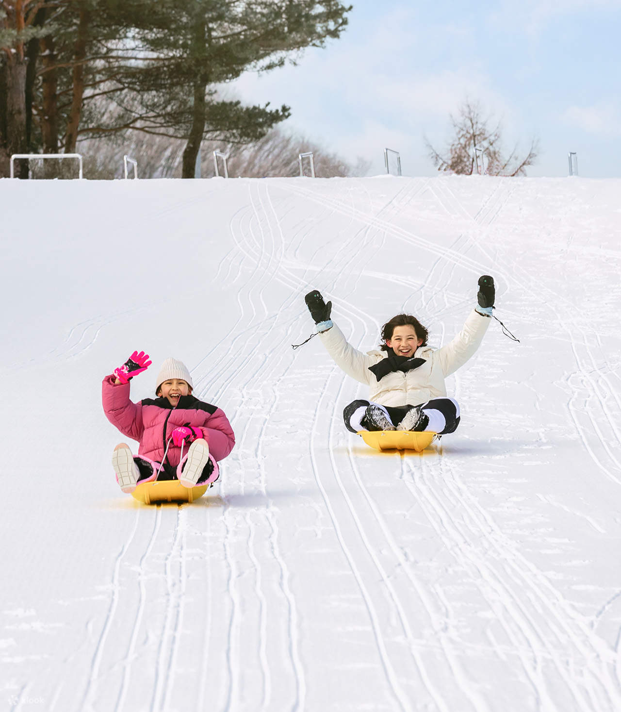 Nami Island Winter Highlights: Vivaldi Ski Resort Day Tour - Klook ...