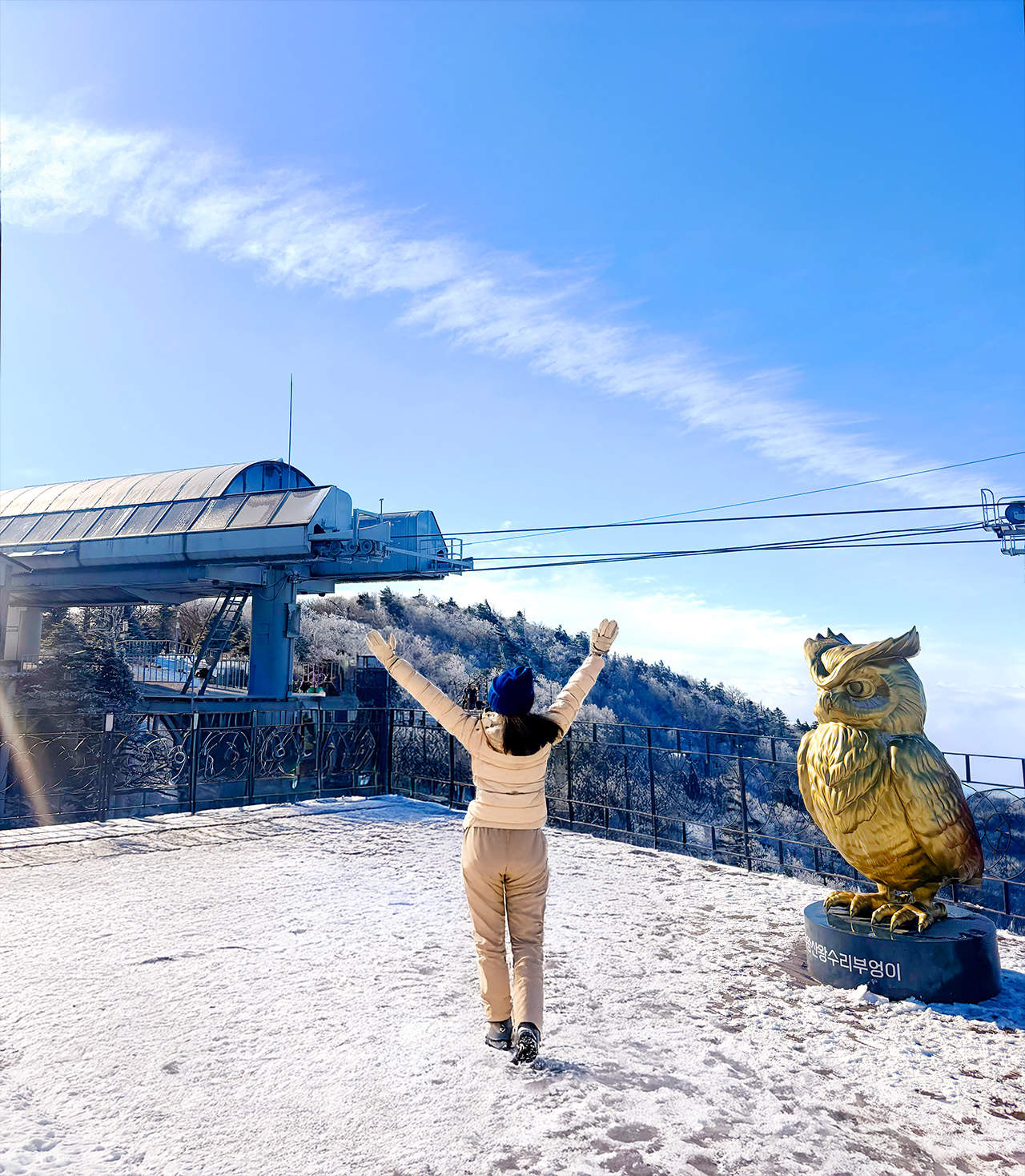 Balwangsan Cable Car & Samyang Ranch One Day Tour from Seoul - Klook
