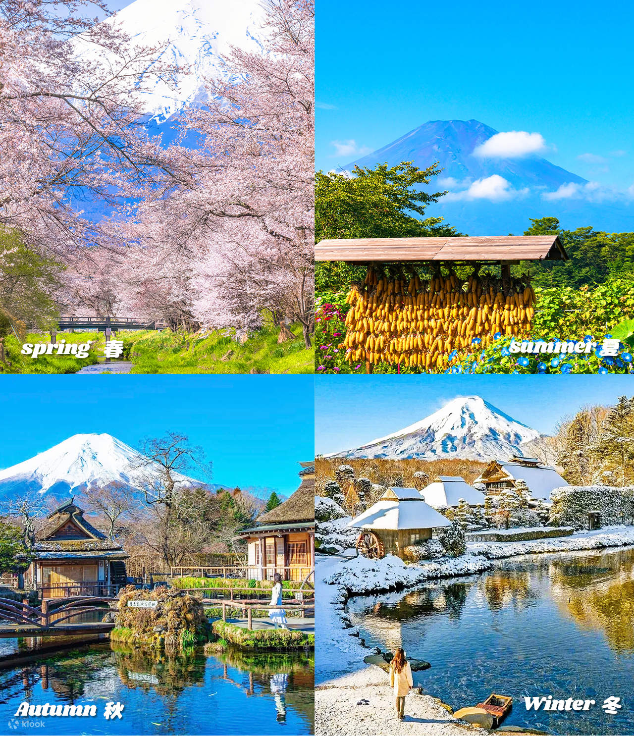 Hakone｜Owakudani, Lake Ashi, and Hakone Shrine Day Tour Online ...