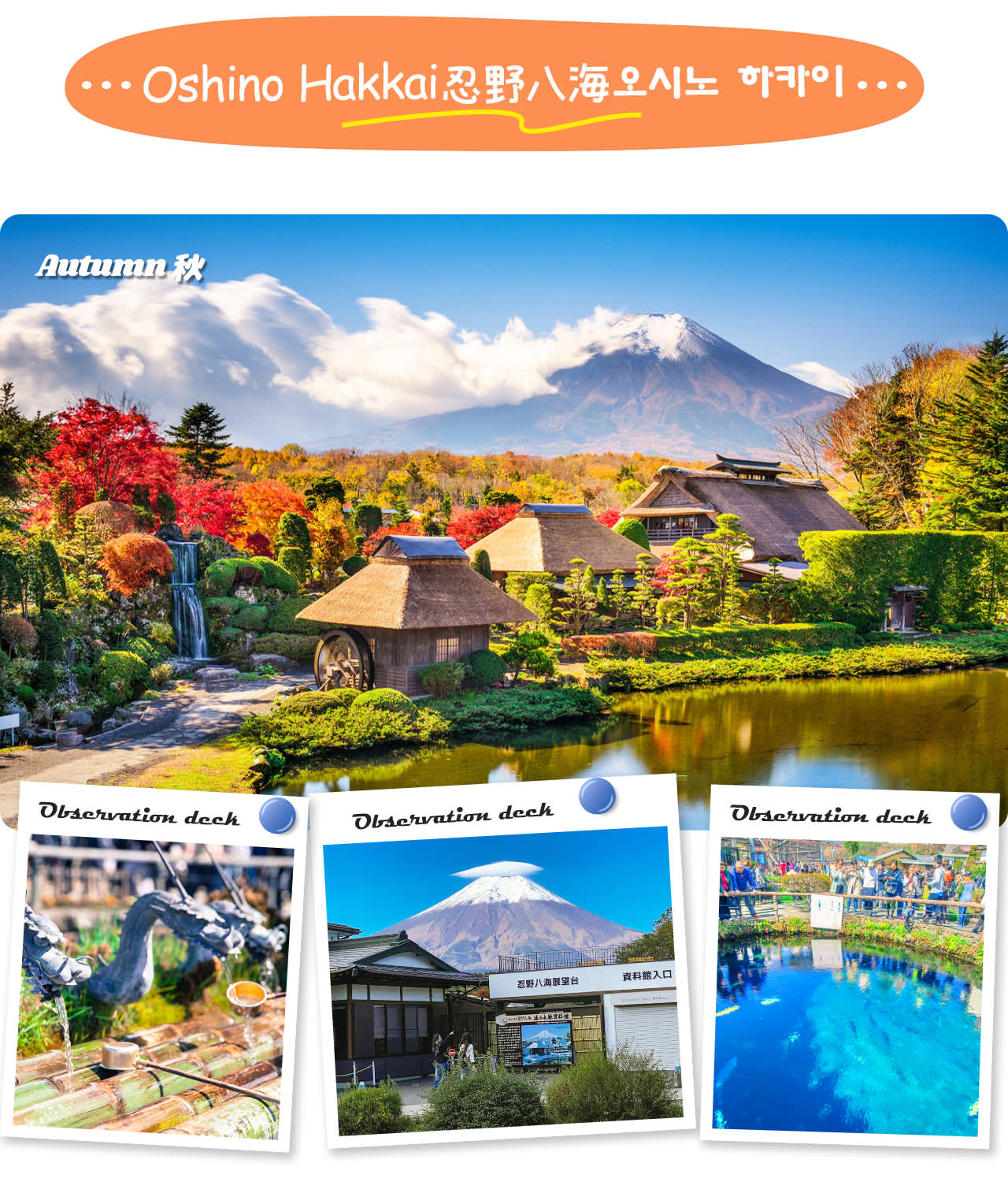 Hakone｜Owakudani, Lake Ashi, and Hakone Shrine Day Tour Online ...