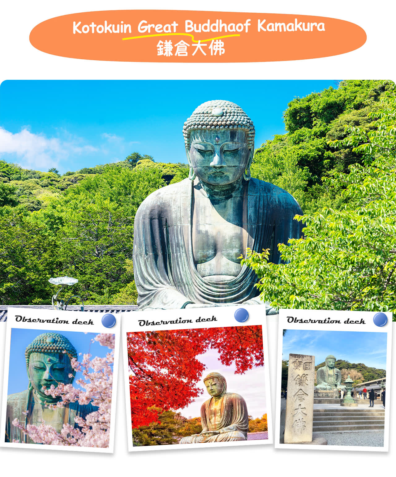 Excursión de un día al Buda gigante de Kamakura, al santuario Tsuruoka ...