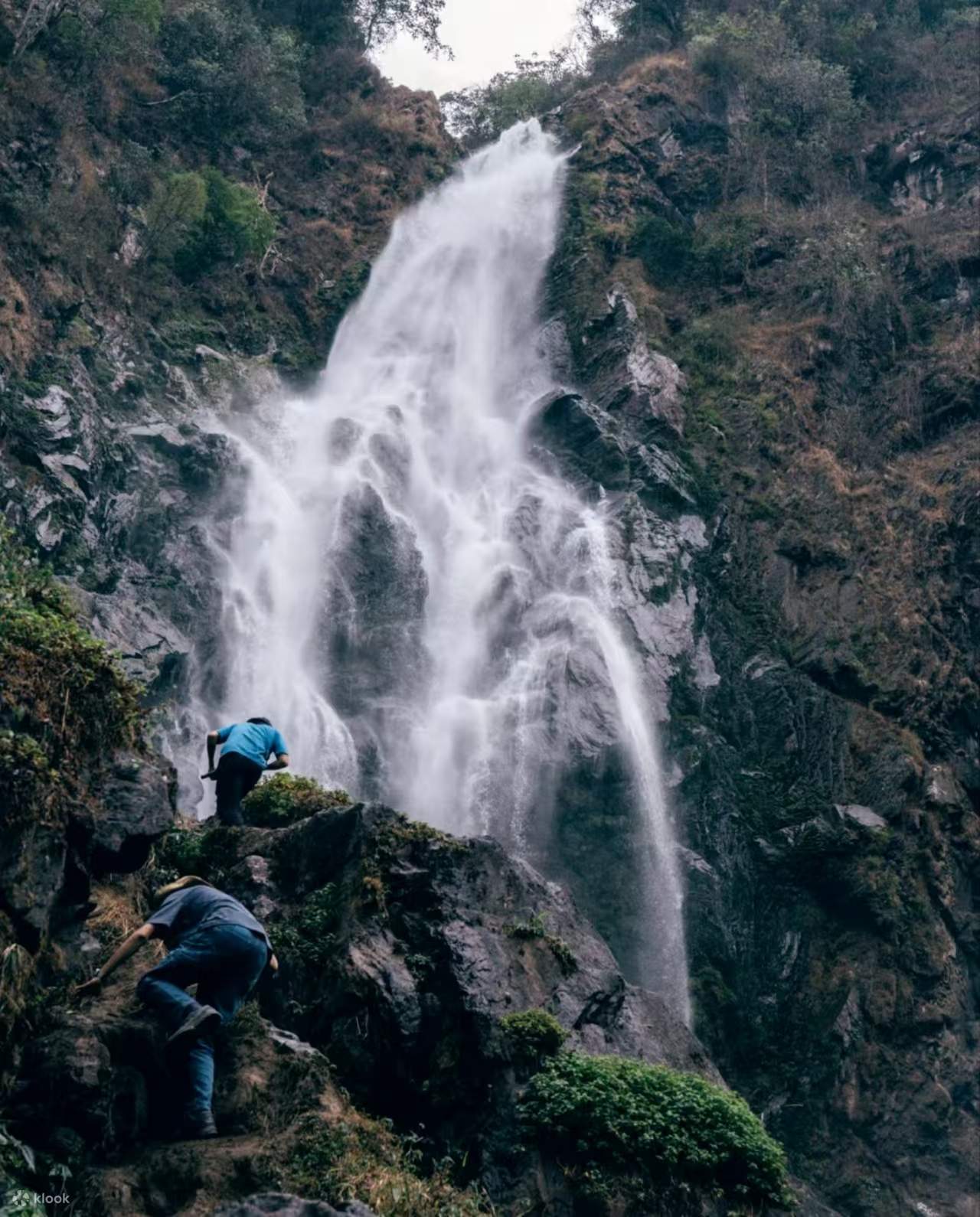 3 days and 2 nights in Ailao Mountain, Kunming, Yunnan (Magnificent ...