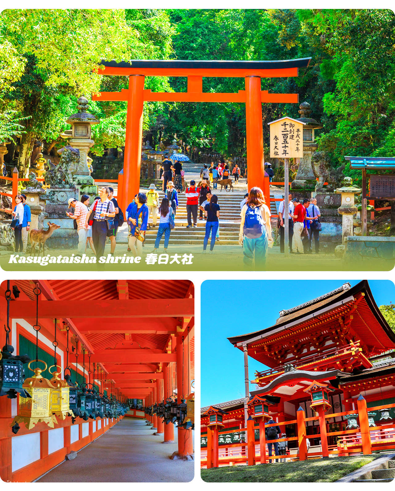 Alam Liar Nara dan Ikoma | Ikoma Skybike, Todaiji Temple, dan Tur ...