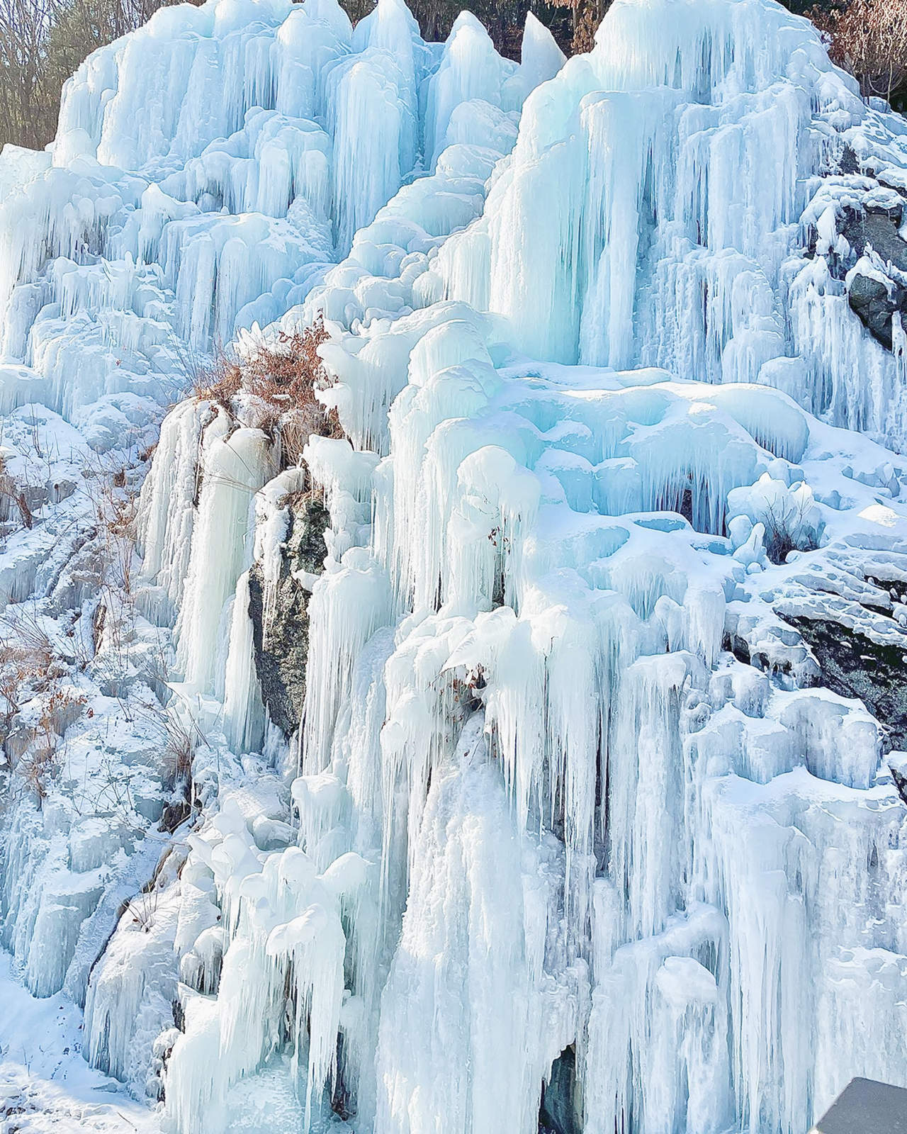 Eobi Ice Valley & Nami & Morning Calm & Railbike & Petite France ...