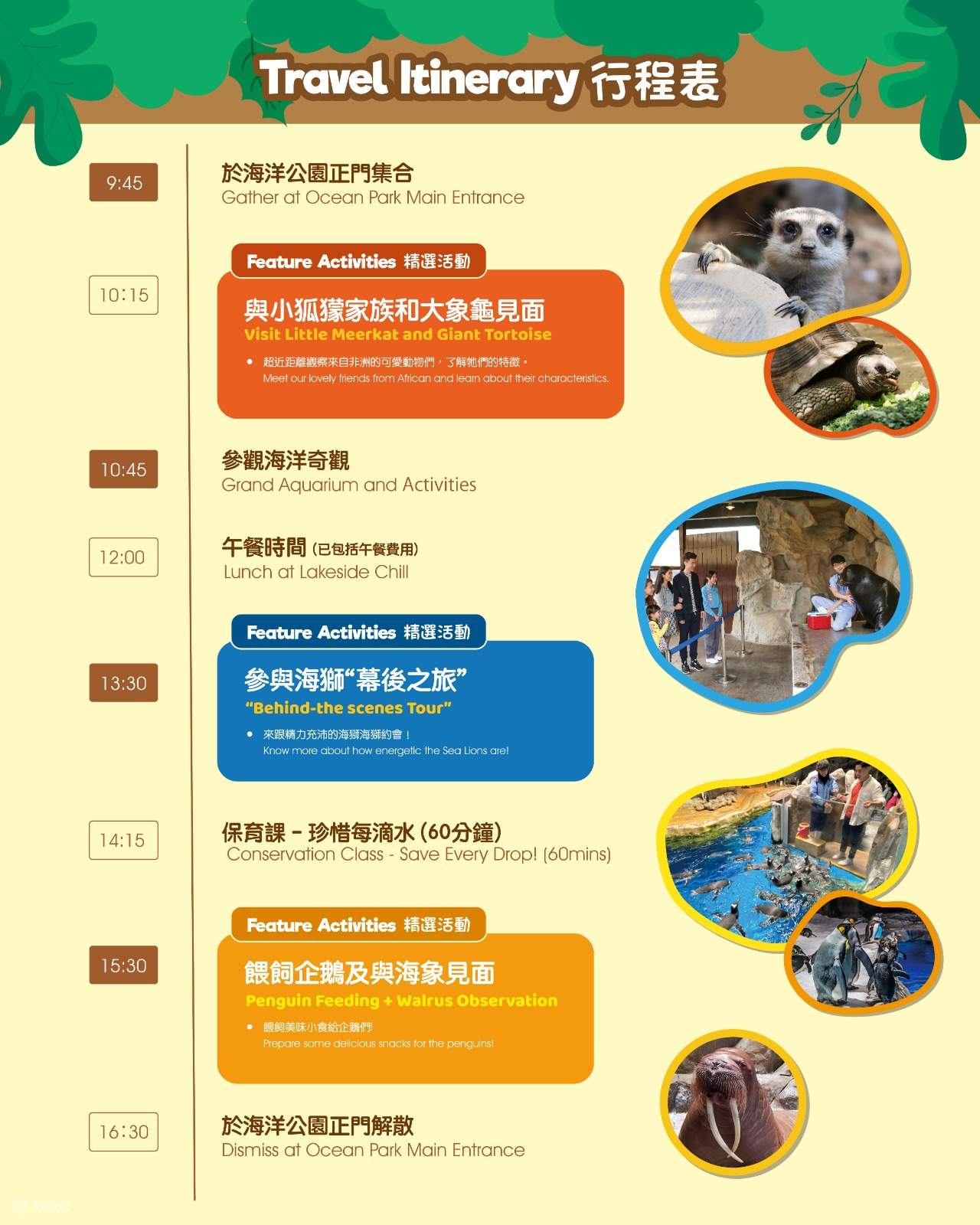 【Monkey Tree Exclusive】Ocean Park Conservation Camp - Klook