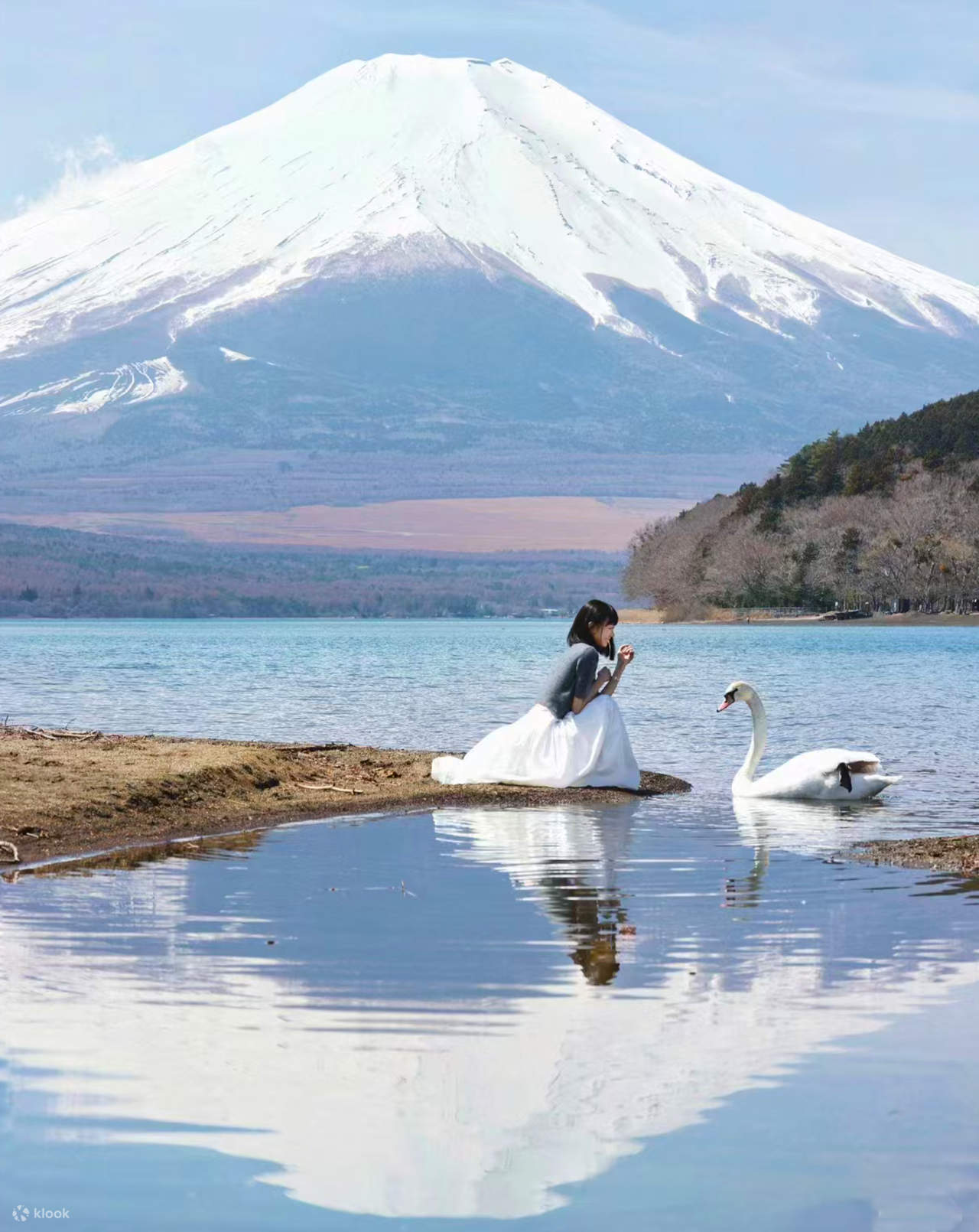 6 beautiful photos of Mount Fuji, a one-day tour, watching swans on the ...