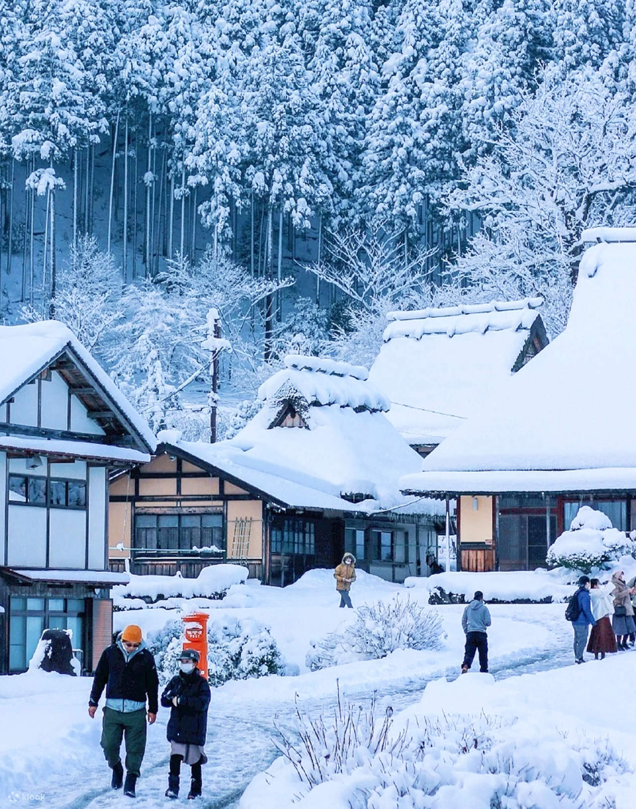 Winter only｜Arashiyama, Miyama Thatched Village, Gassho Village, Snow ...