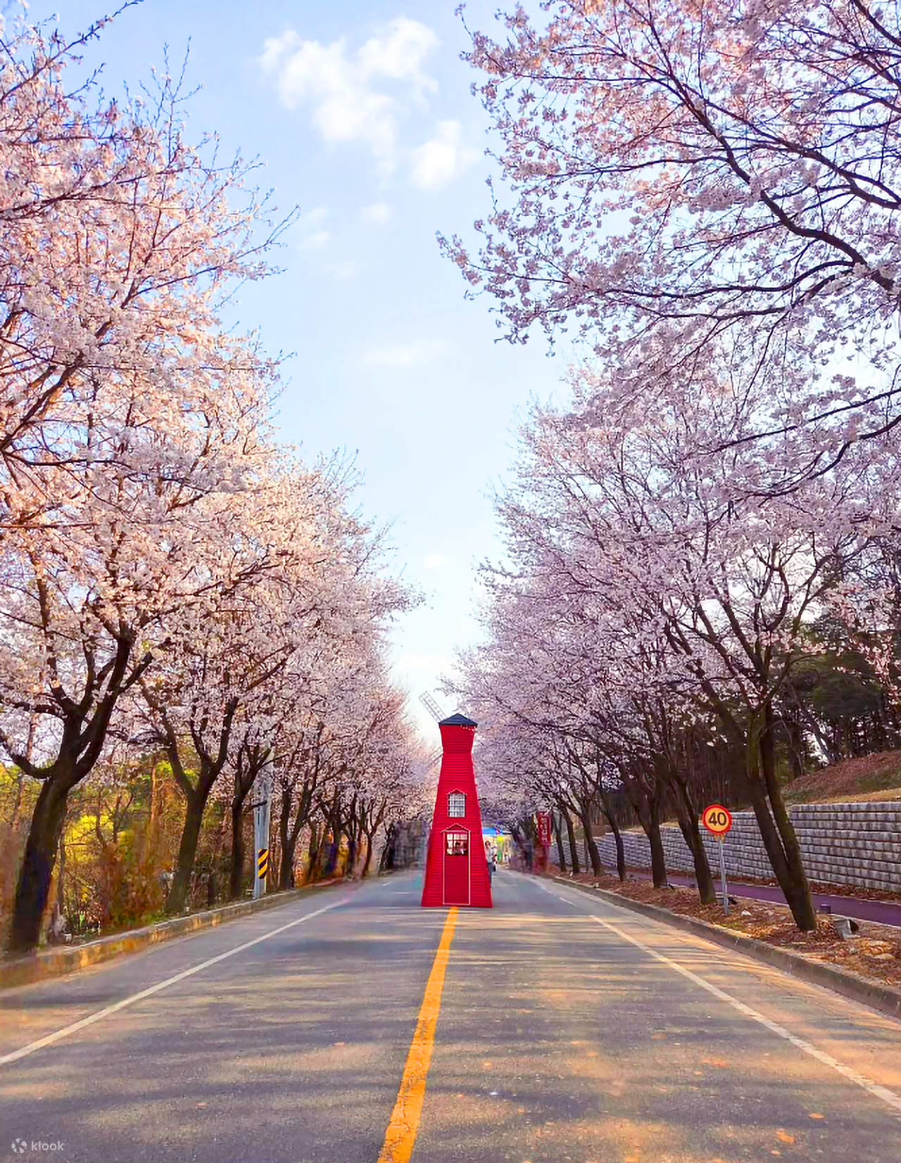 Bangye-ri Ginkgo Tree Day Tour from Seoul: Wonju & Sogeumsan Cable ...
