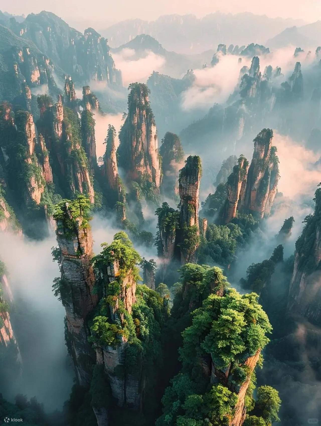 Hunan Zhangjiajie National Forest Park High-end 2-Day Tour (Yuanjiajie ...