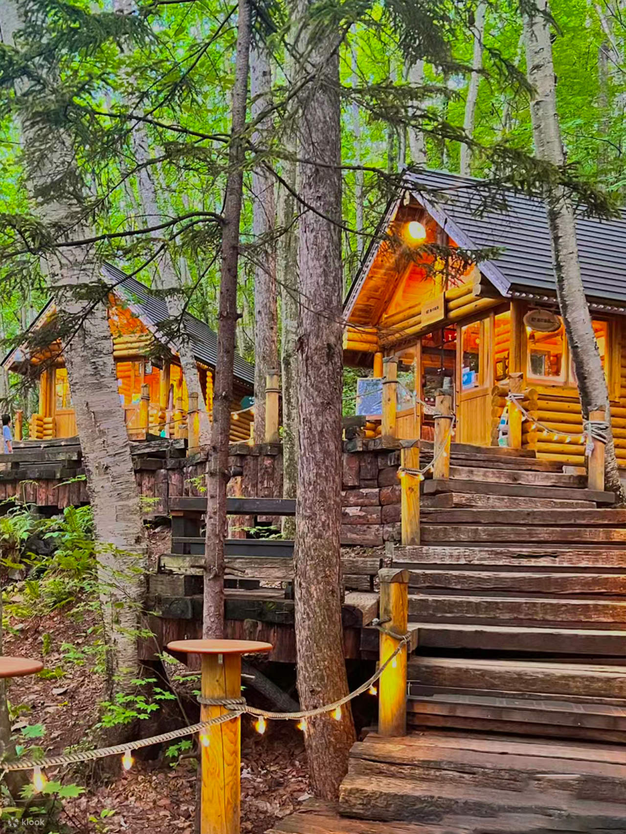 Hokkaido Shikisai-no-oka, Blue Pond & Farm Tomita Day Trip - Klook ...