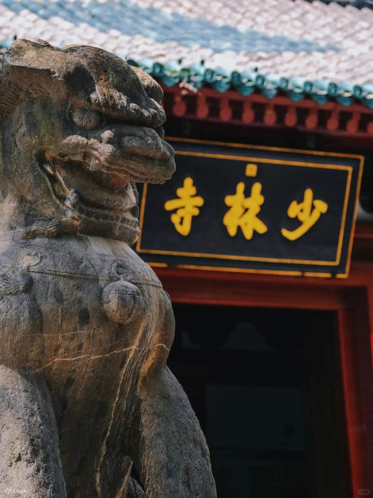 One-Day Tour of Henan Shaolin Temple & Longmen Grottoes (Departure from ...