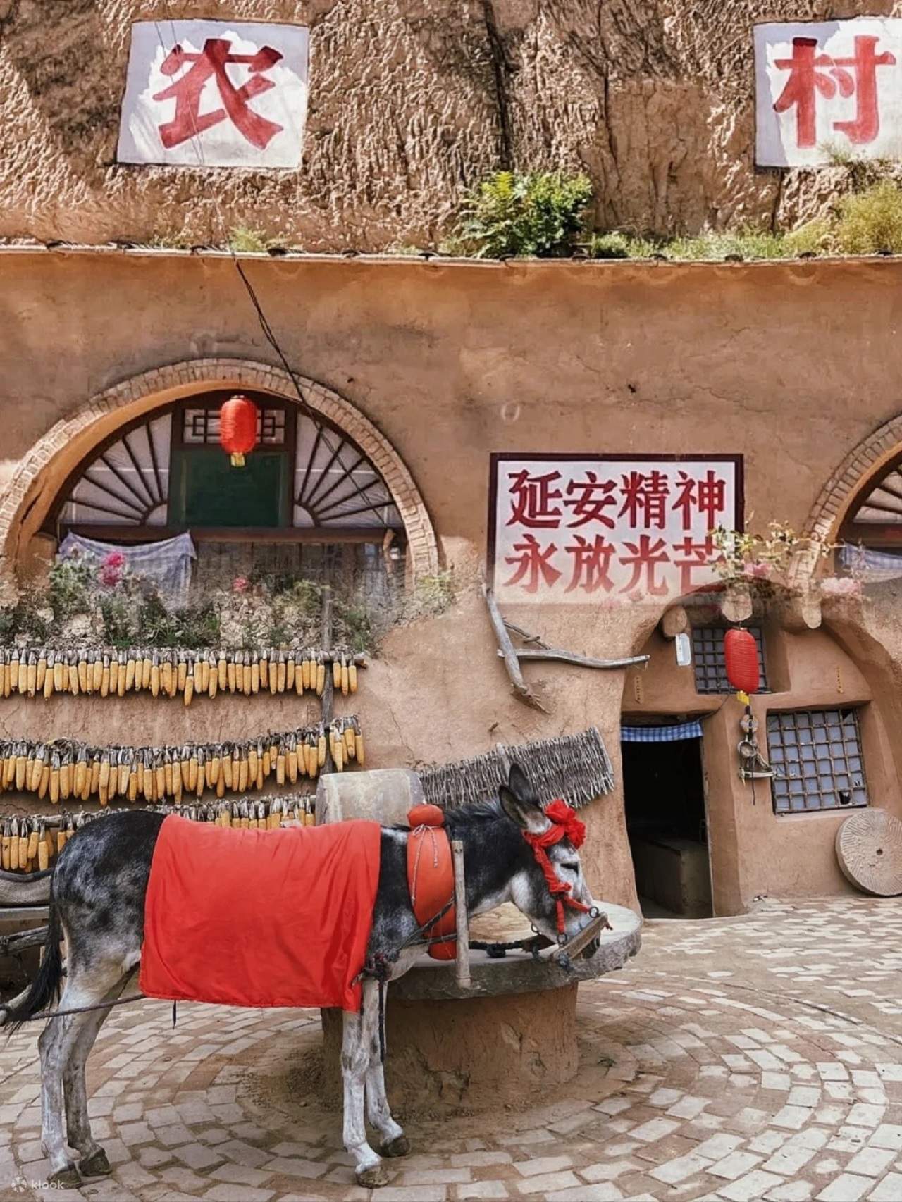 One-Day Tour to Yellow River Hukou Waterfall from Xi'an, Shaanxi ...