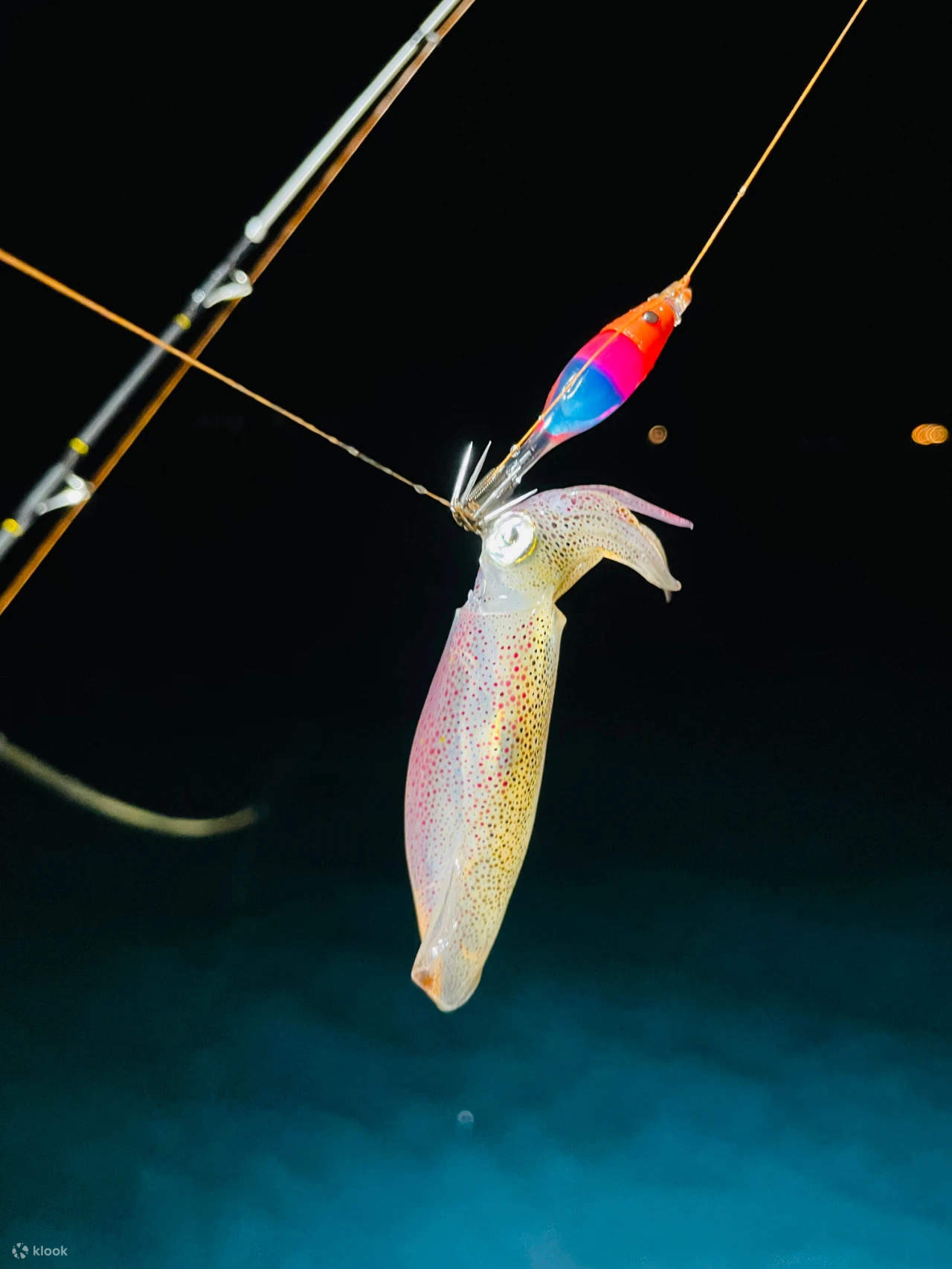 Shenzhen Dapeng Night Squid Fishing Trip - Klook Philippines