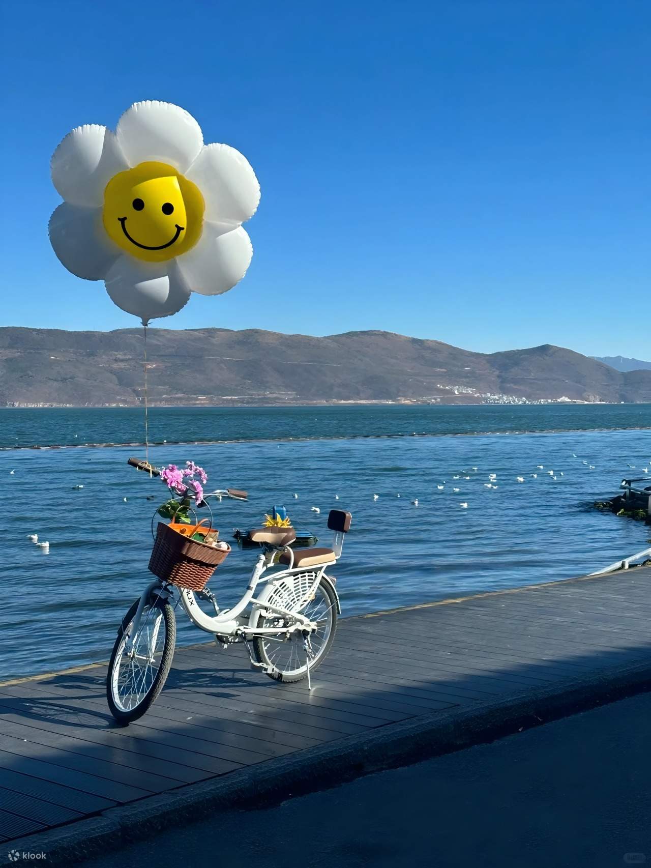 2-Day Luxury Dali, Yunnan Tour (Shuanglang Ancient Town & Jin Suo ...