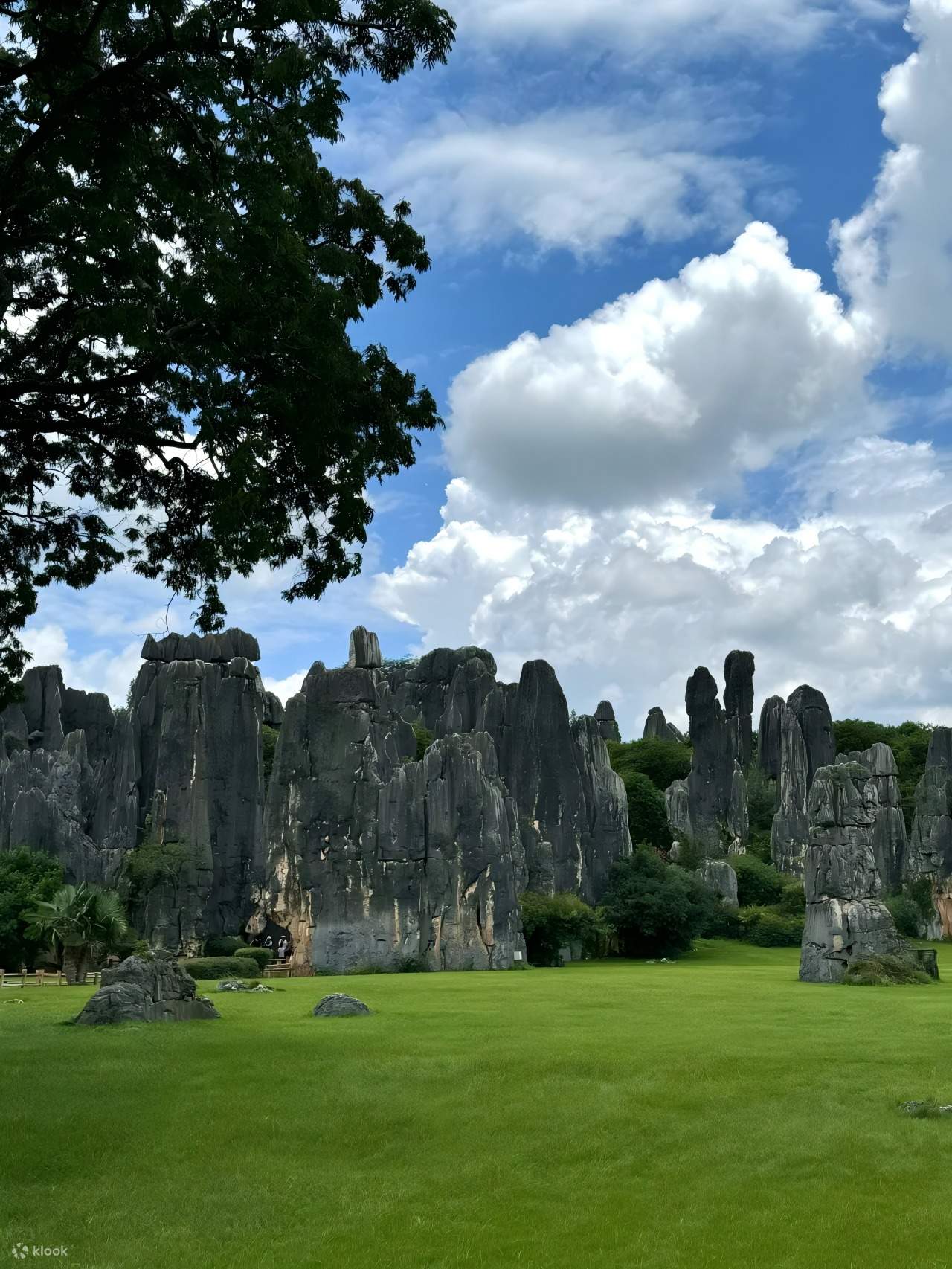 Yunnan Kunming Stone Forest and Dianchi Lake 1-Day Tour (Stone Forest ...