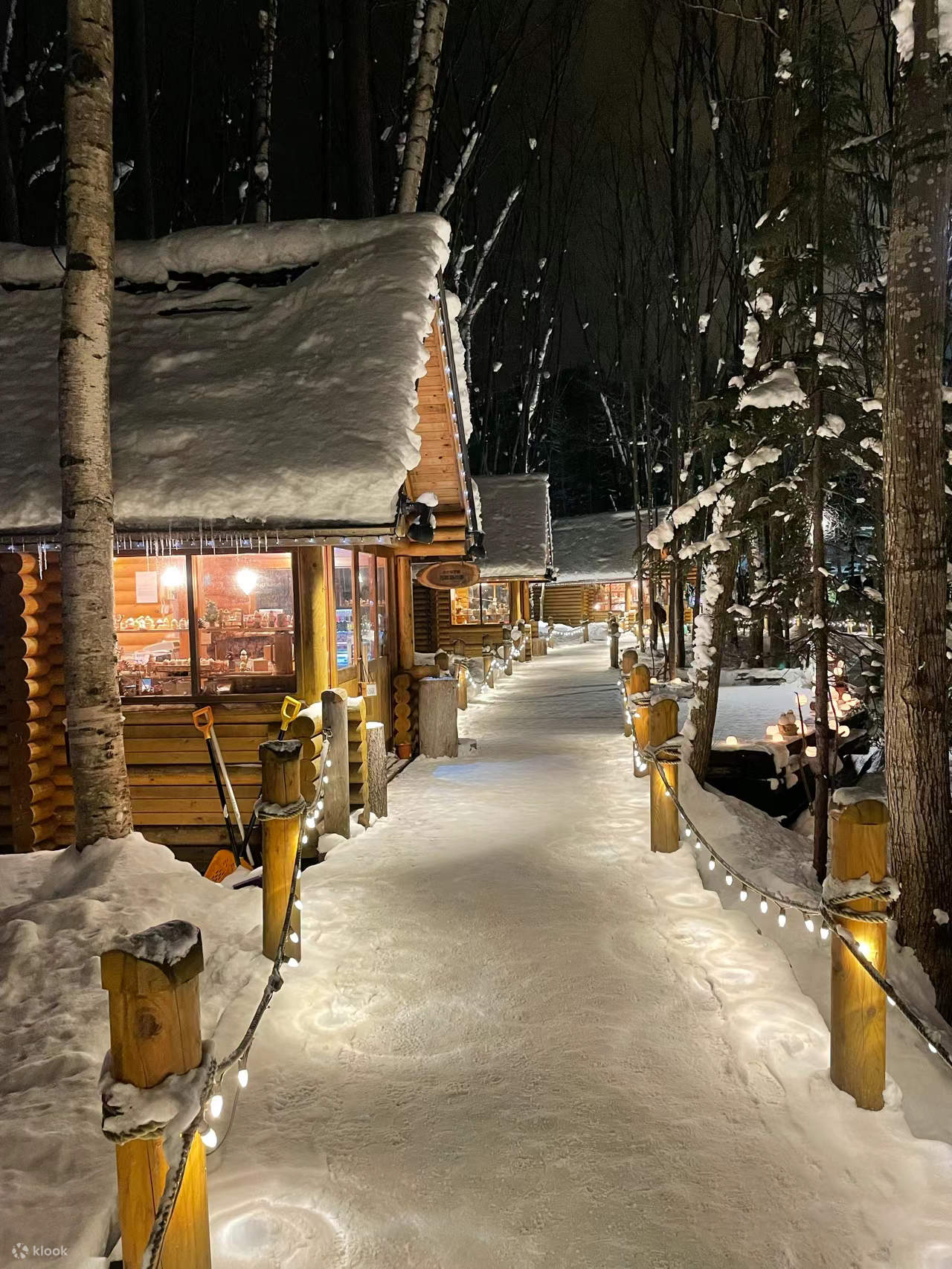 Asahiyama Zoo & Biei & Shikisai-no-Oka & Forest Fairy Terrace One Day ...
