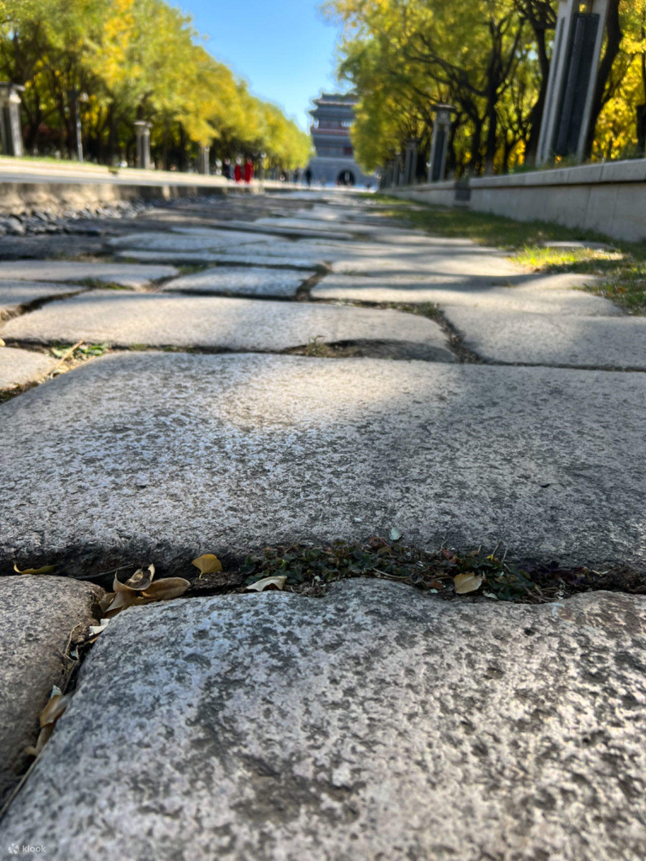 Explore Beijing Central Axis on Bike - Klook Estados Unidos