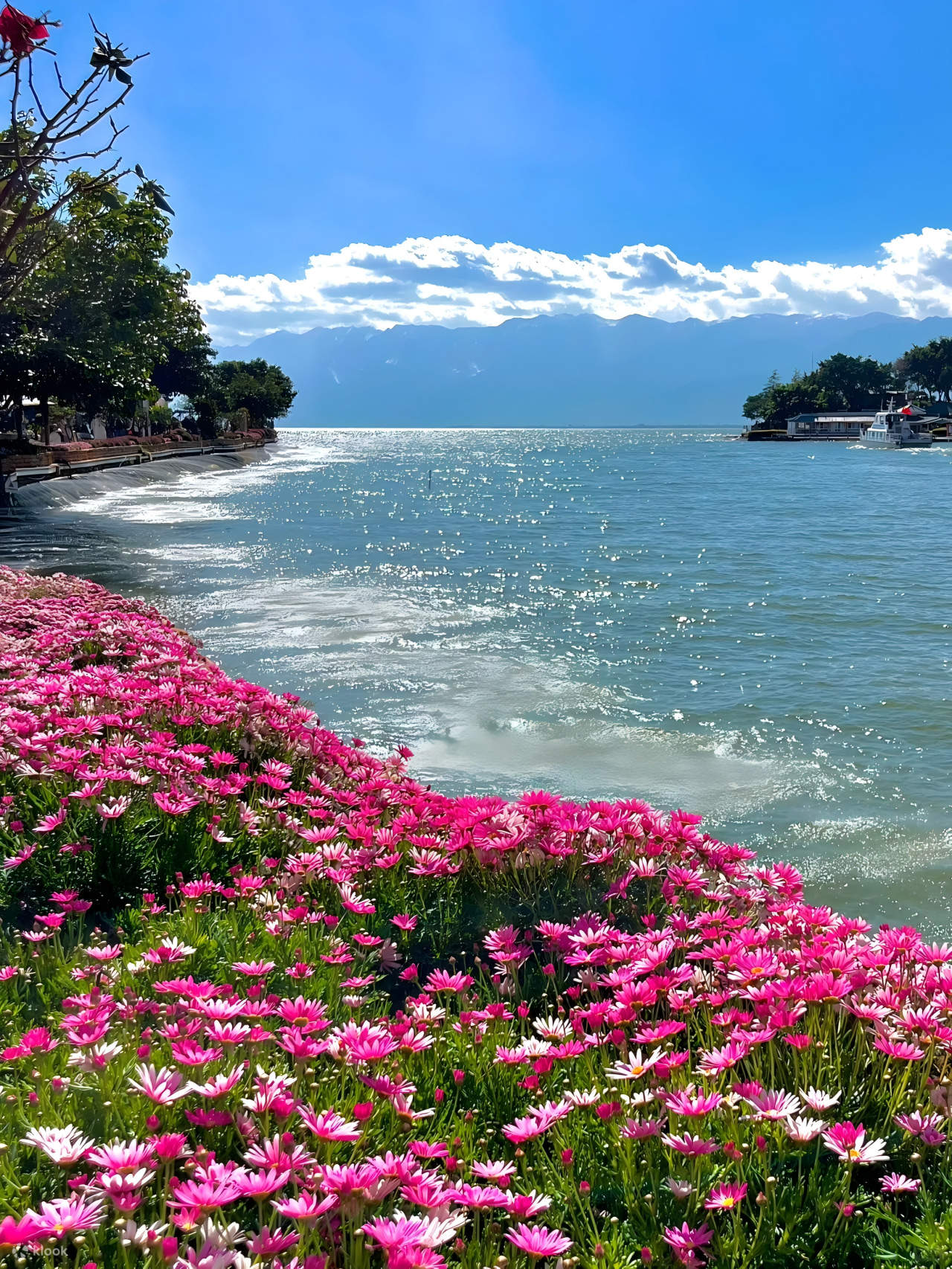 2-Day Luxury Dali, Yunnan Tour (Shuanglang Ancient Town & Jin Suo ...