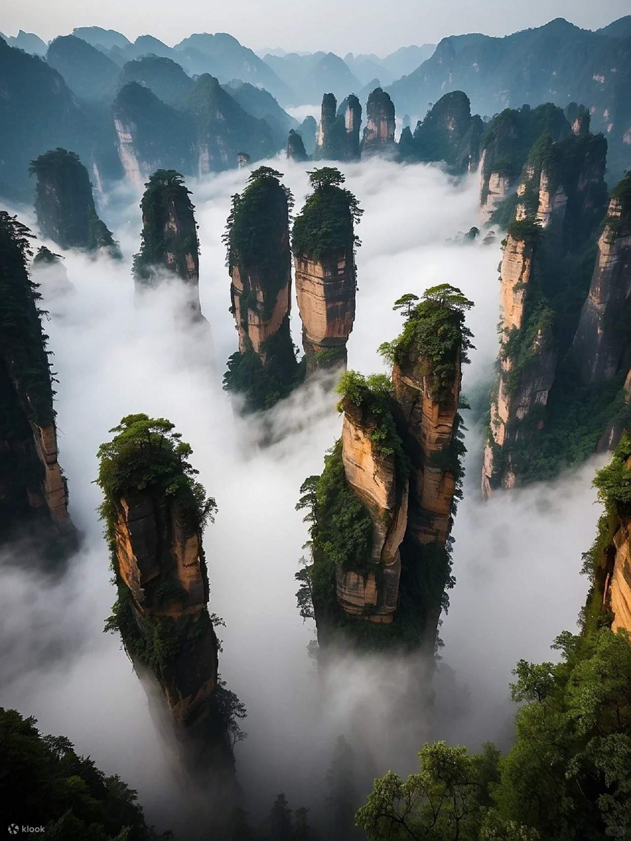 Hunan Zhangjiajie National Forest Park High-end 2-Day Tour (Yuanjiajie ...