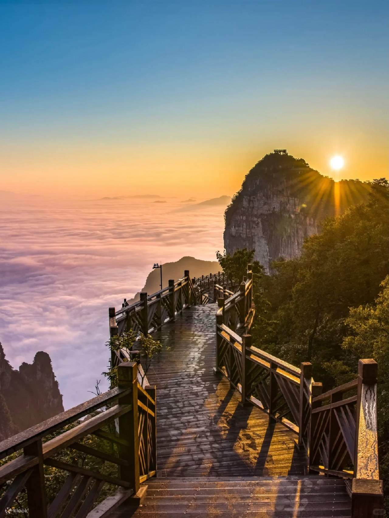 Tour approfondito di un giorno al Parco Forestale Nazionale di ...