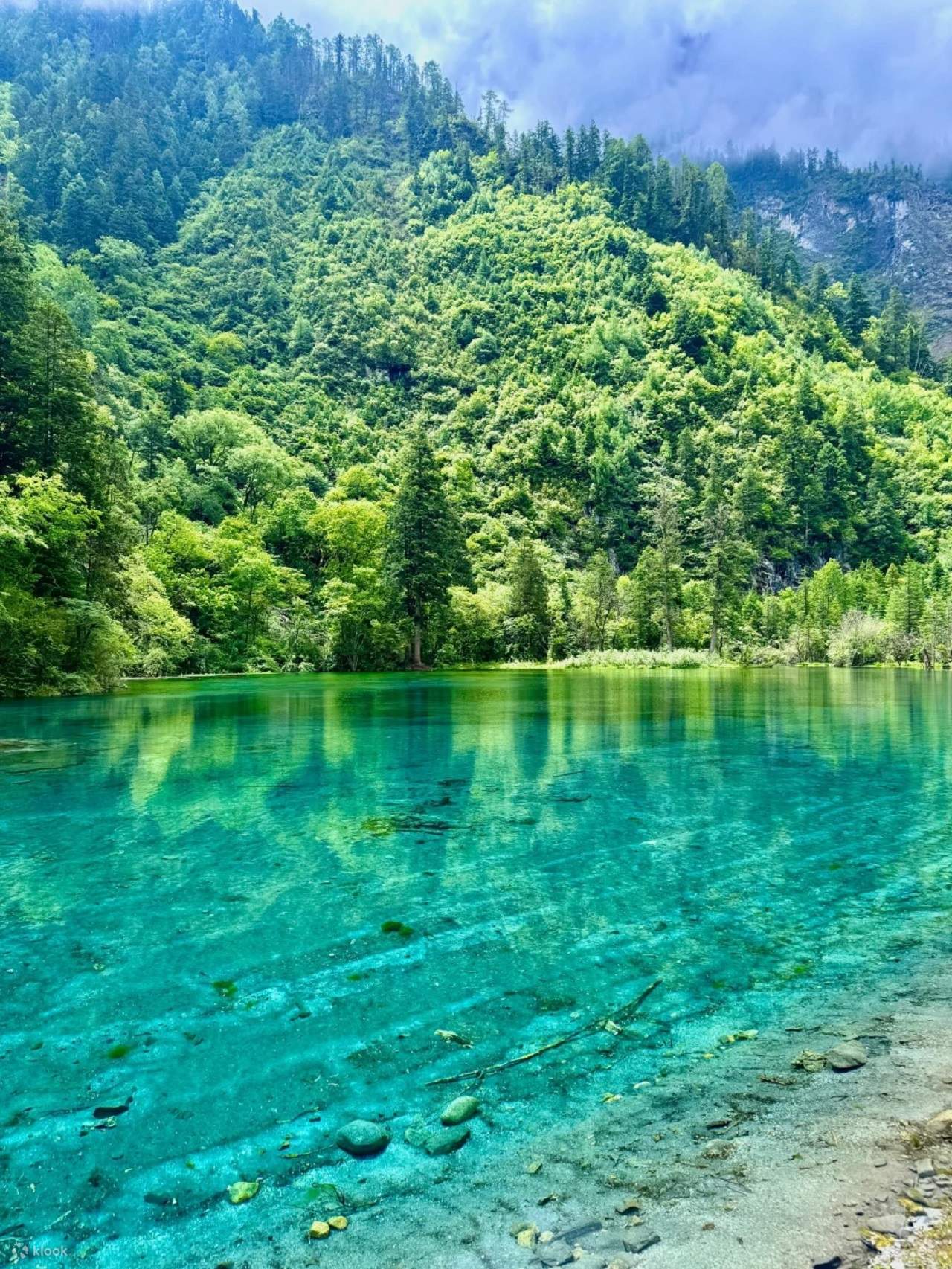 Sichuan Bipenggou Ice and Snow Fairy Tale World 1-Day Tour (Snow ...