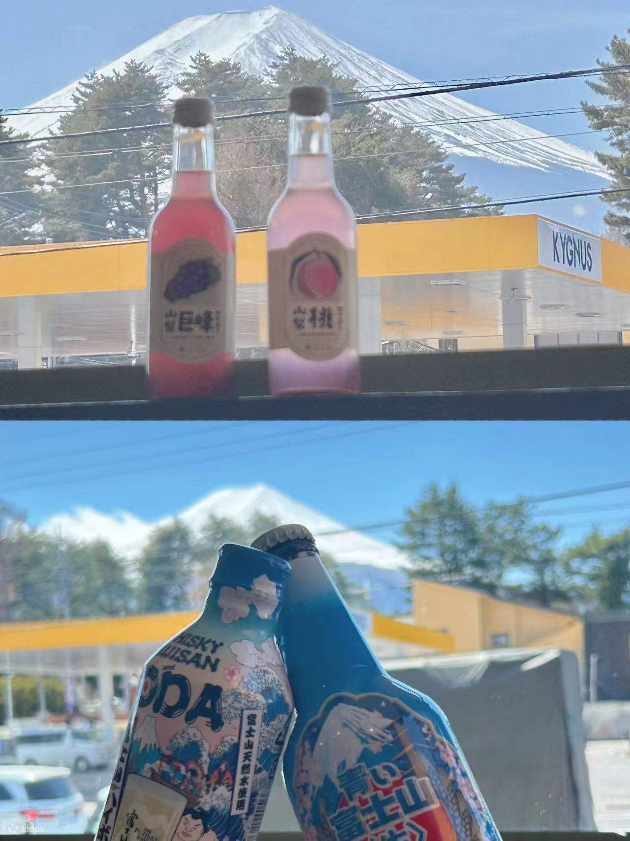 Mount Fuji Yamanashi Fruit Picking & Kawaguchiko Landmark Sightseeing ...