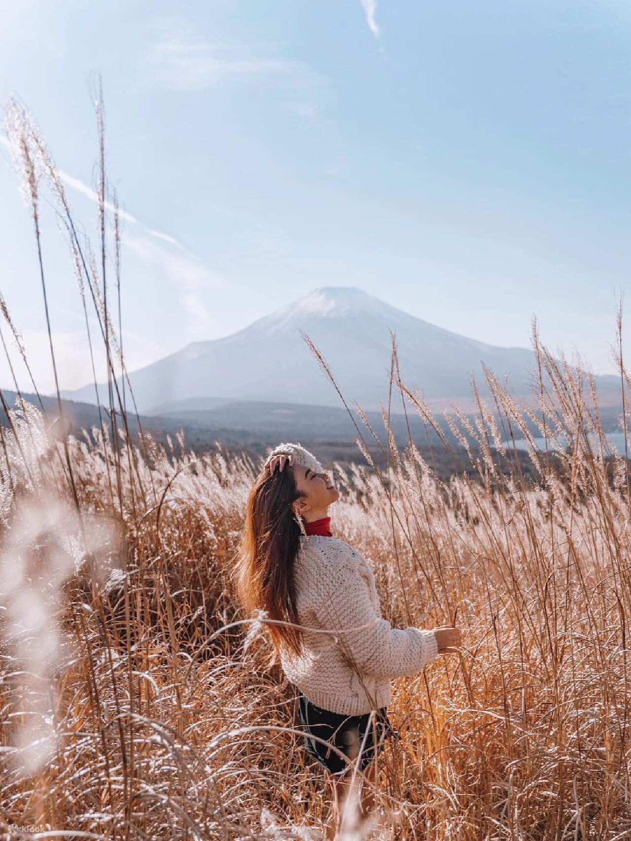Mount Fuji Yamanashi Fruit Picking & Kawaguchiko Landmark Sightseeing ...